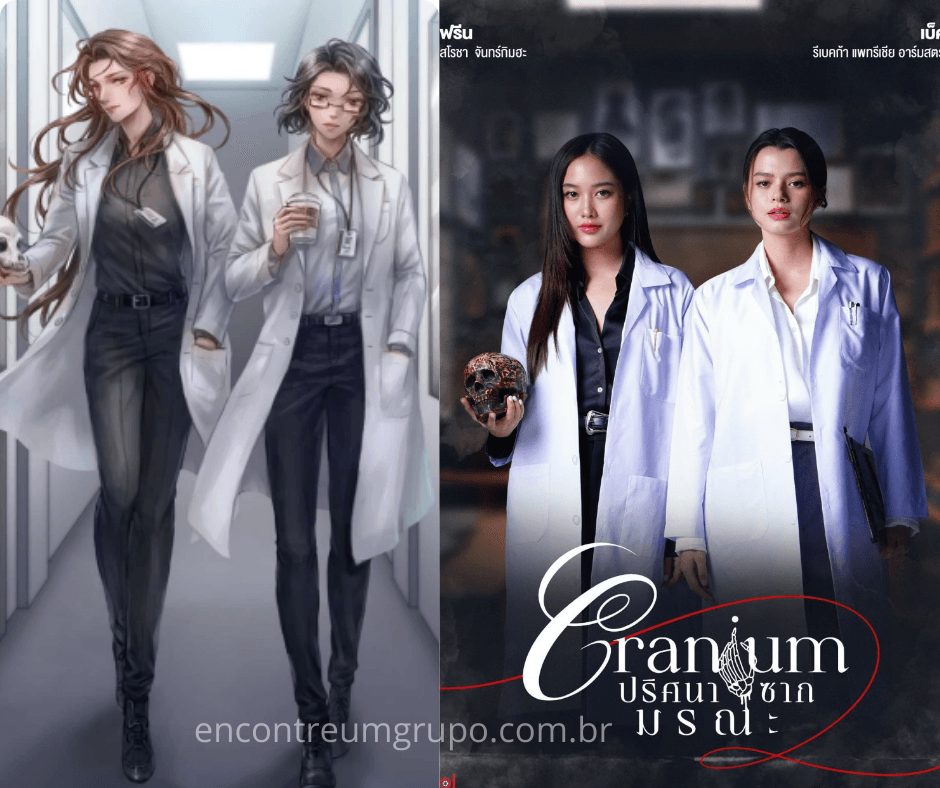 O Que Significa GL? E qual a diferença entre Novel e Light Novel?